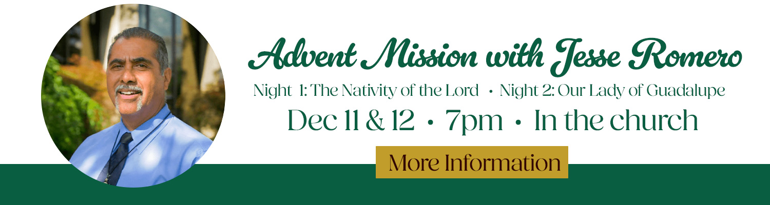 Our Lady of Mount Carmel Roman Catholic Church - Our Lady of Mount ...